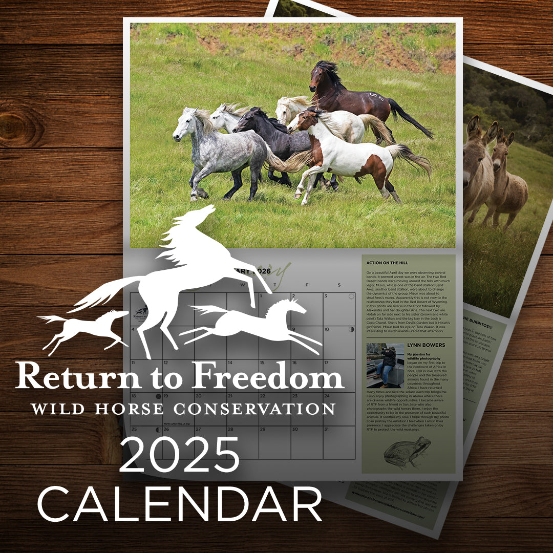 2025 Return to Freedom Calendar – Return to Freedom Wild Horse Conservation
