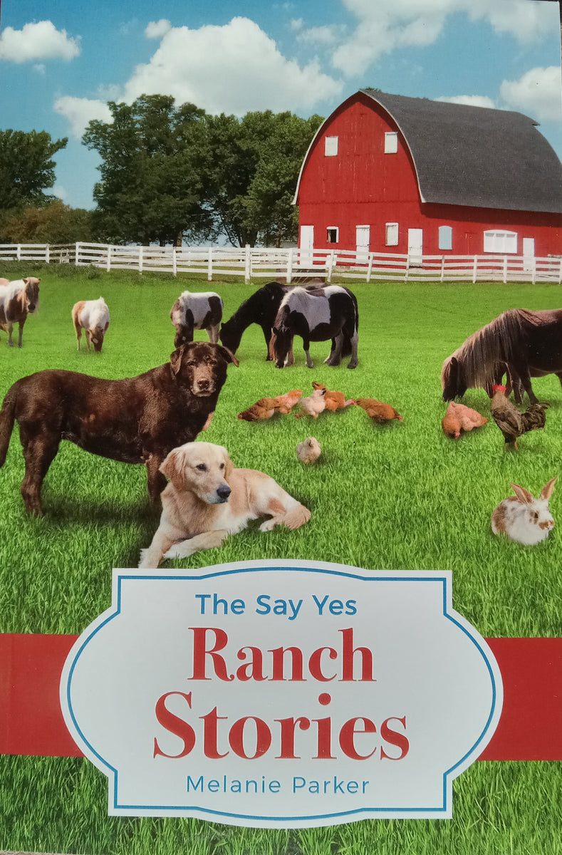 The Say Yes Ranch Stories – Return to Freedom Wild Horse Conservation